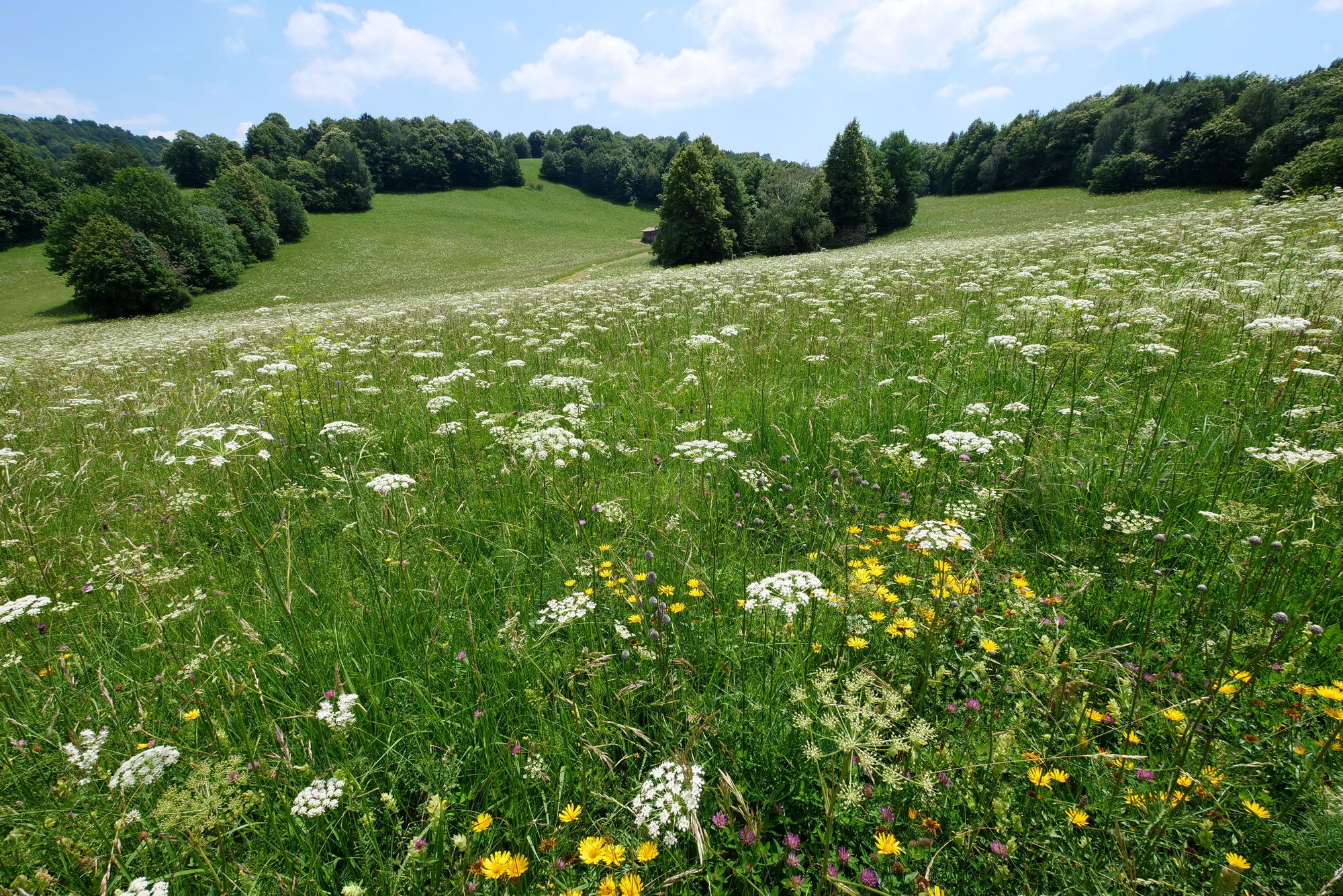 EGB: News - The mountainous village of Stregna in Italy is model ...