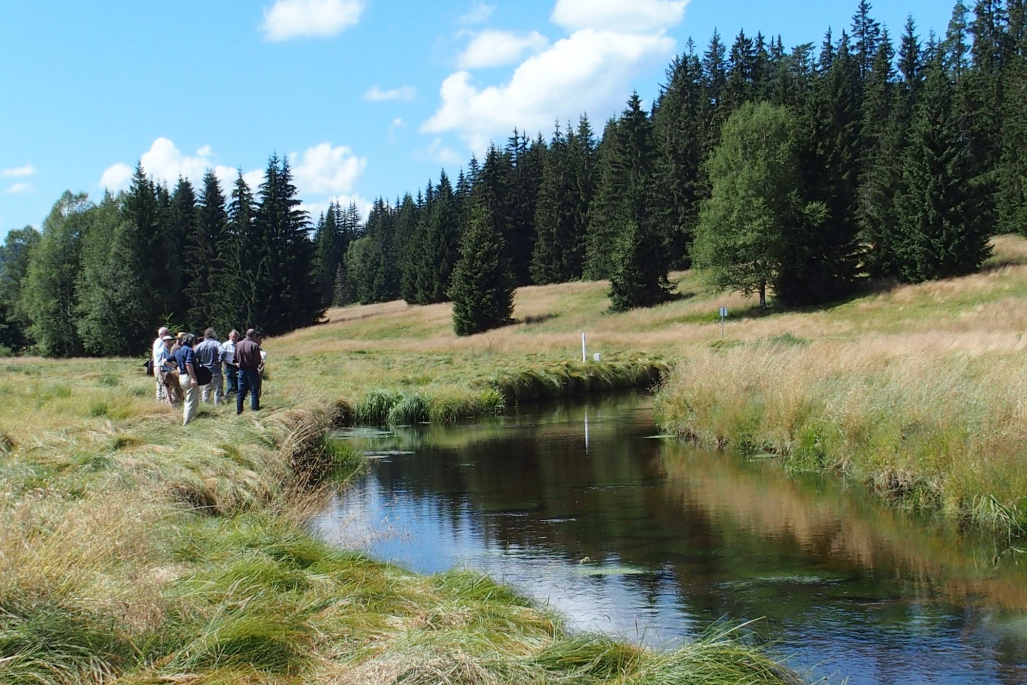EGB: News - Cross-linking nature and people along the Green Belt Germany